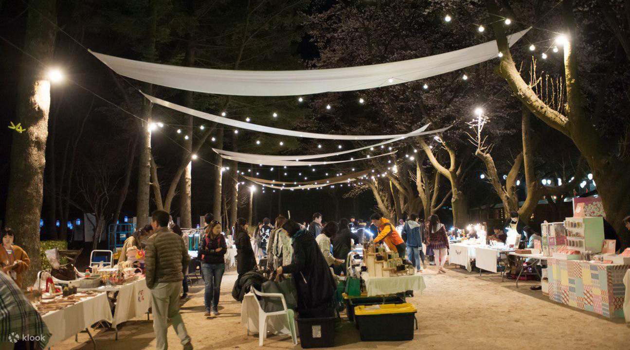 Nami Island Cherry Blossom Viewing from Seoul, South Korea - Klook